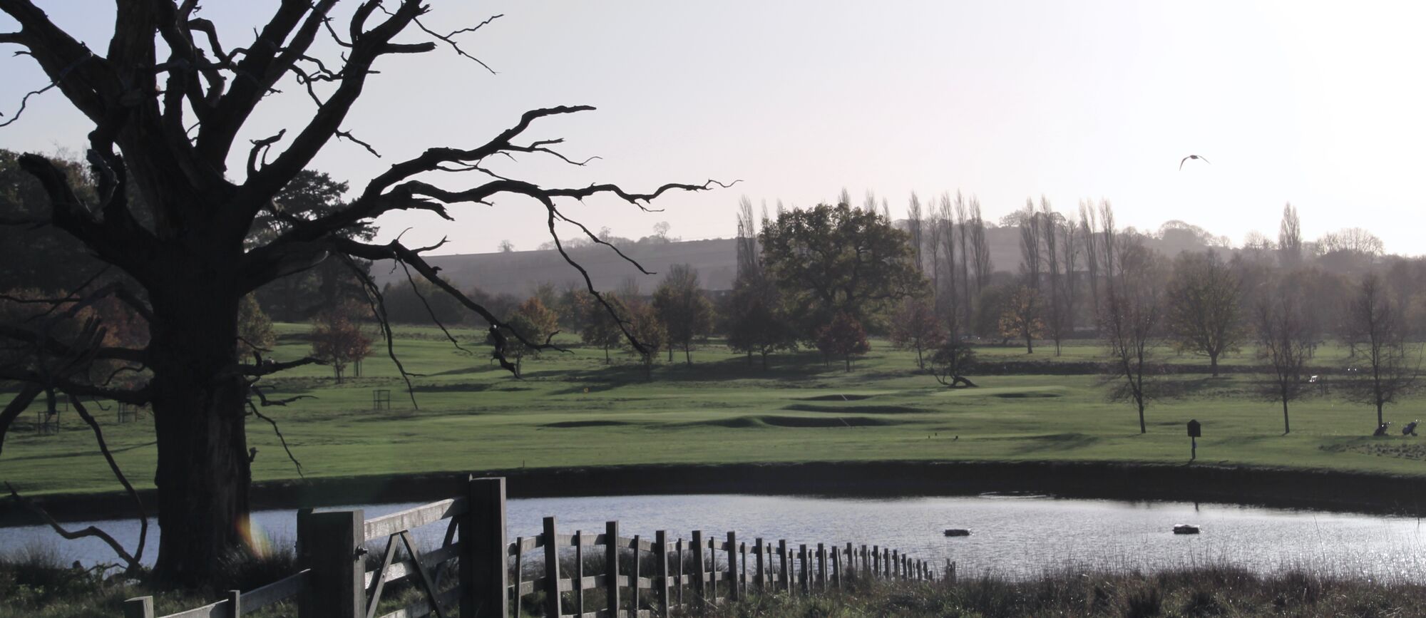 Home [beltonpark.intelligentgolf.co.uk]